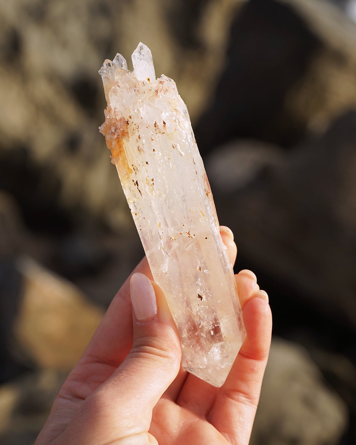 Shop All Crystals– Echoz Crystals