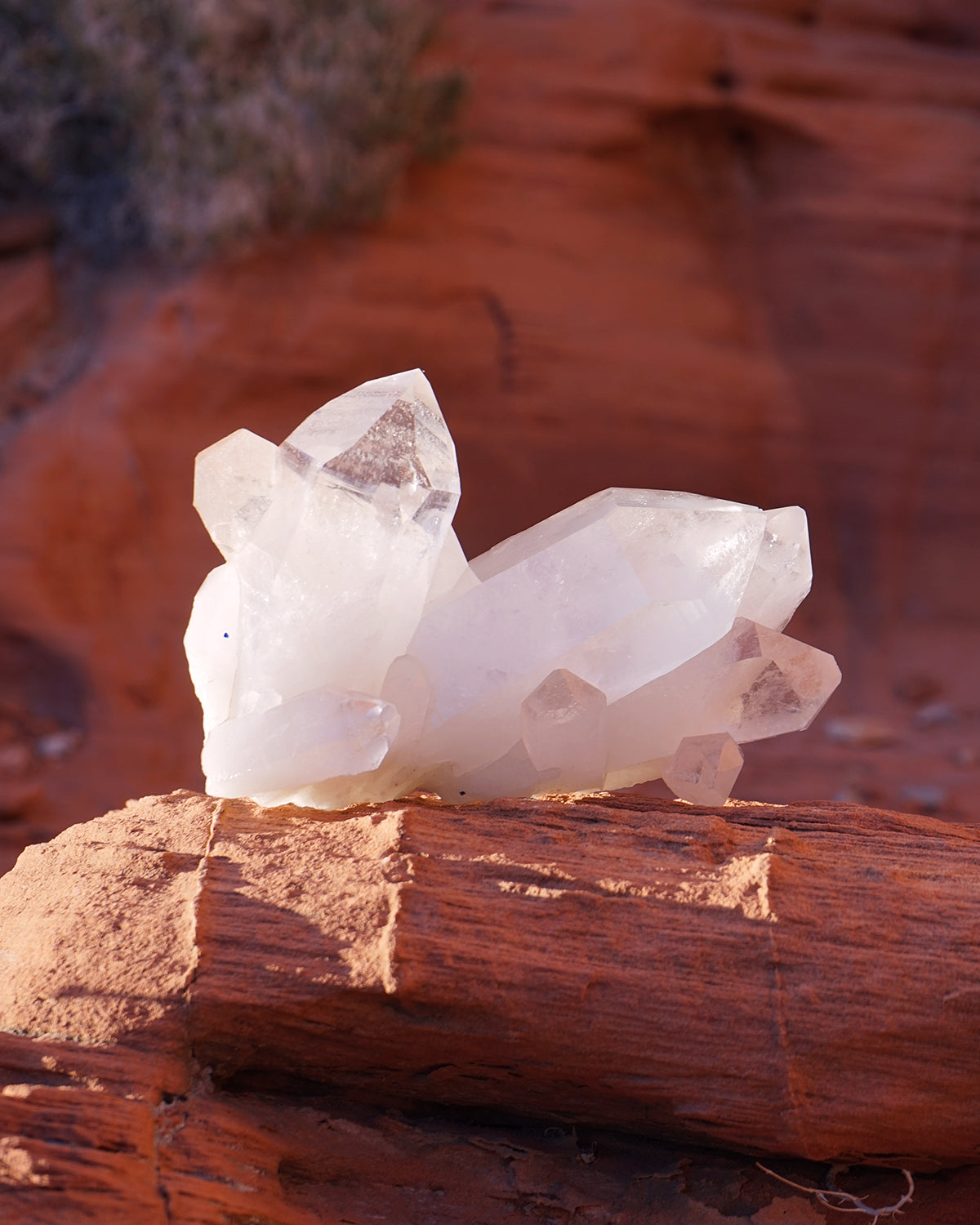 Shop All Crystals– Echoz Crystals