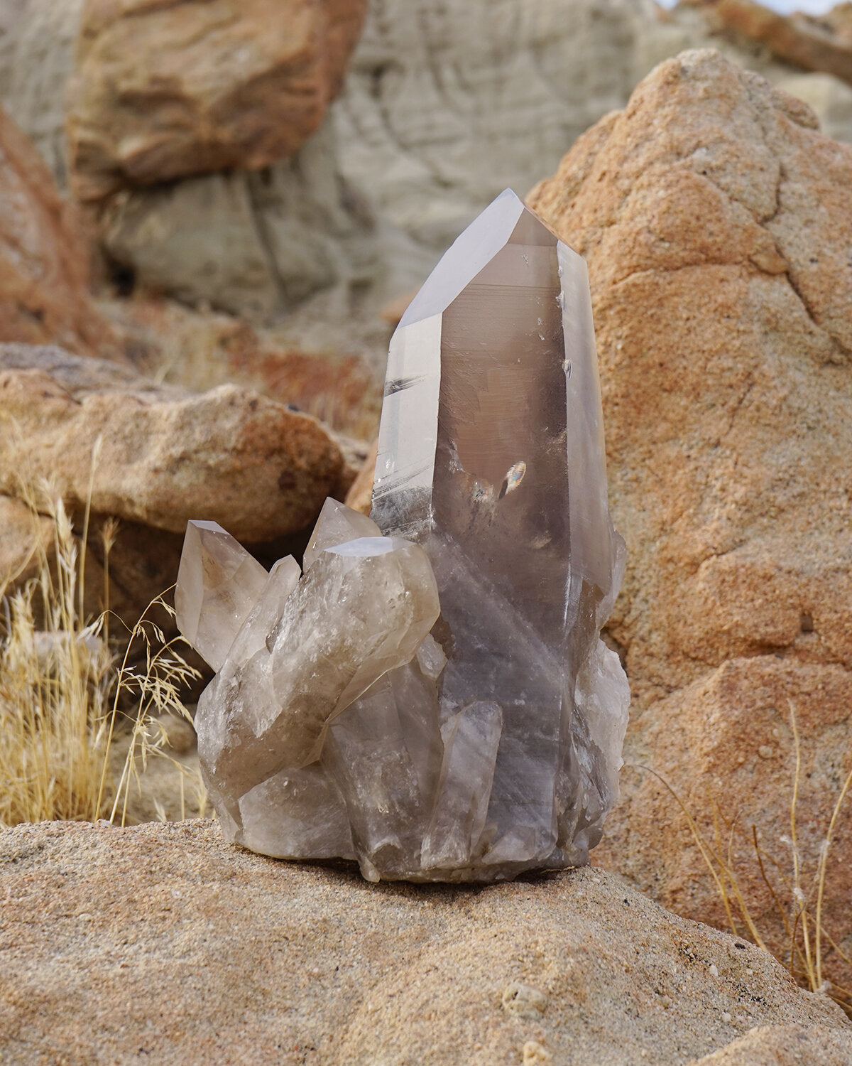 Smoky Lemurian Quartz Cluster– Echoz Crystals